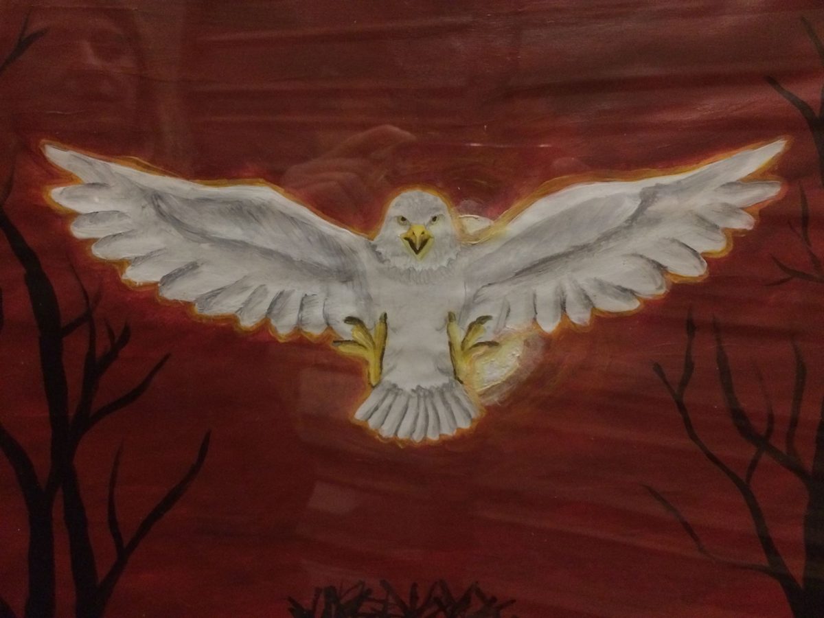 orzel - The Polish School Of Sydney